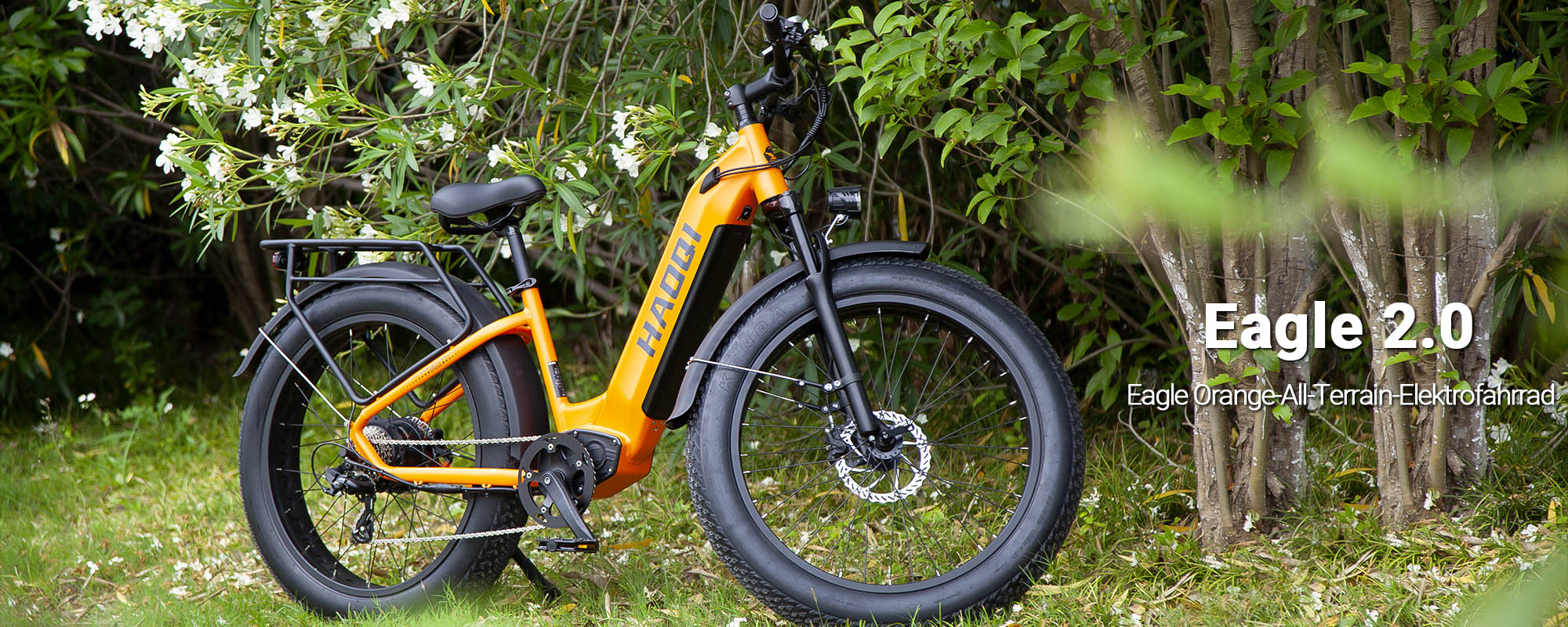 Dual Akku Lange Reichweite – E-Bikes für jedes Gelände | HAOQI E-Bike