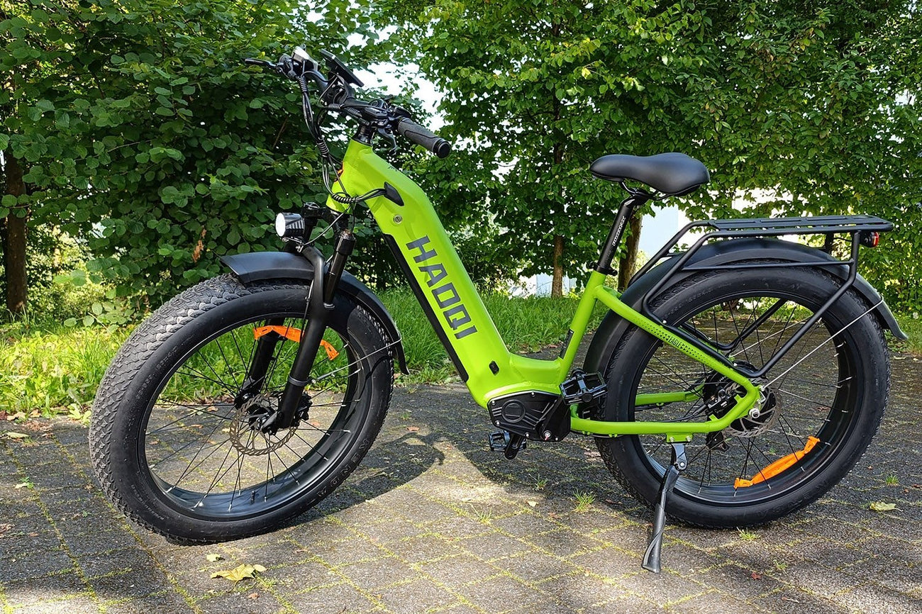 HAOQI Eagle Step Thru E-bike | Trekking E-Bike, E-Mountainbike & City E-Bike | Elektrofahrrad