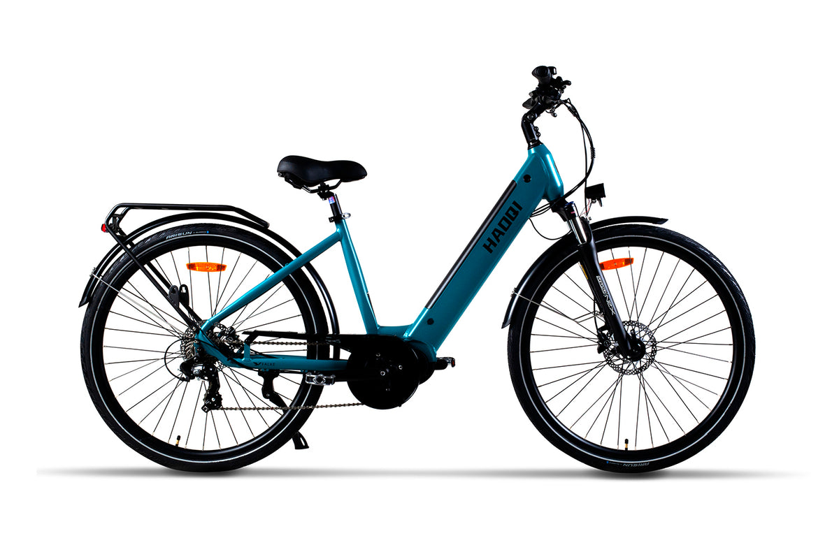 HAOQI Step Over Eagle Ebike | Herren Elektrofahrrad | Fatbike E-Bike ...