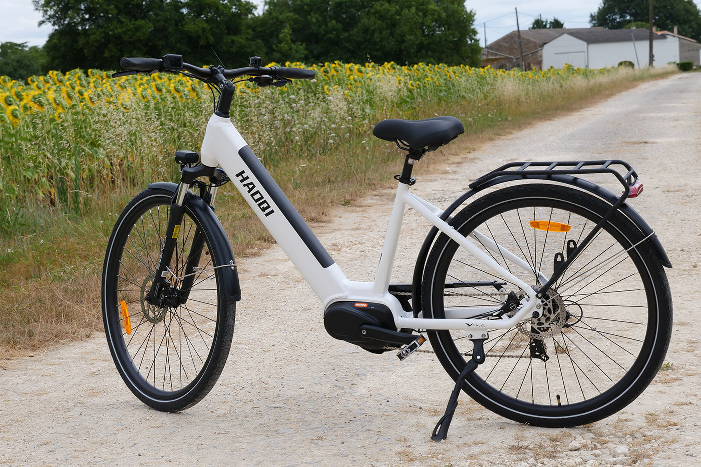 HAOQI Falke E-bike | Damen Elektrofahrrad | Stadt E-Bike mit Mittelmotor